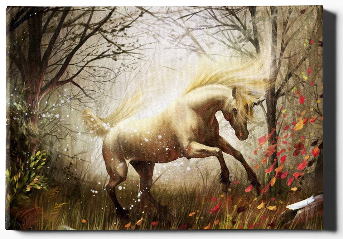 Horse Transformation Art