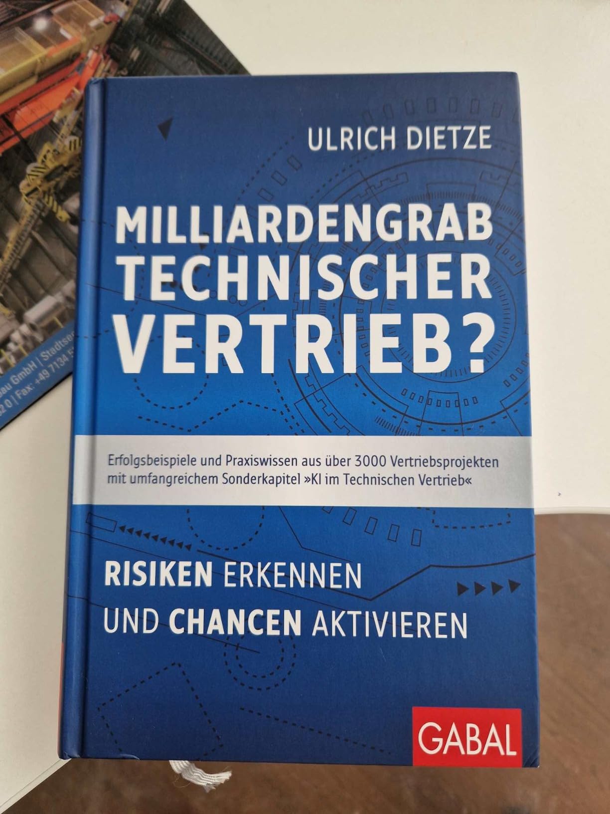 Milliardengrab Technischer Vertrieb?: Risiken erkennen und Chancen ...