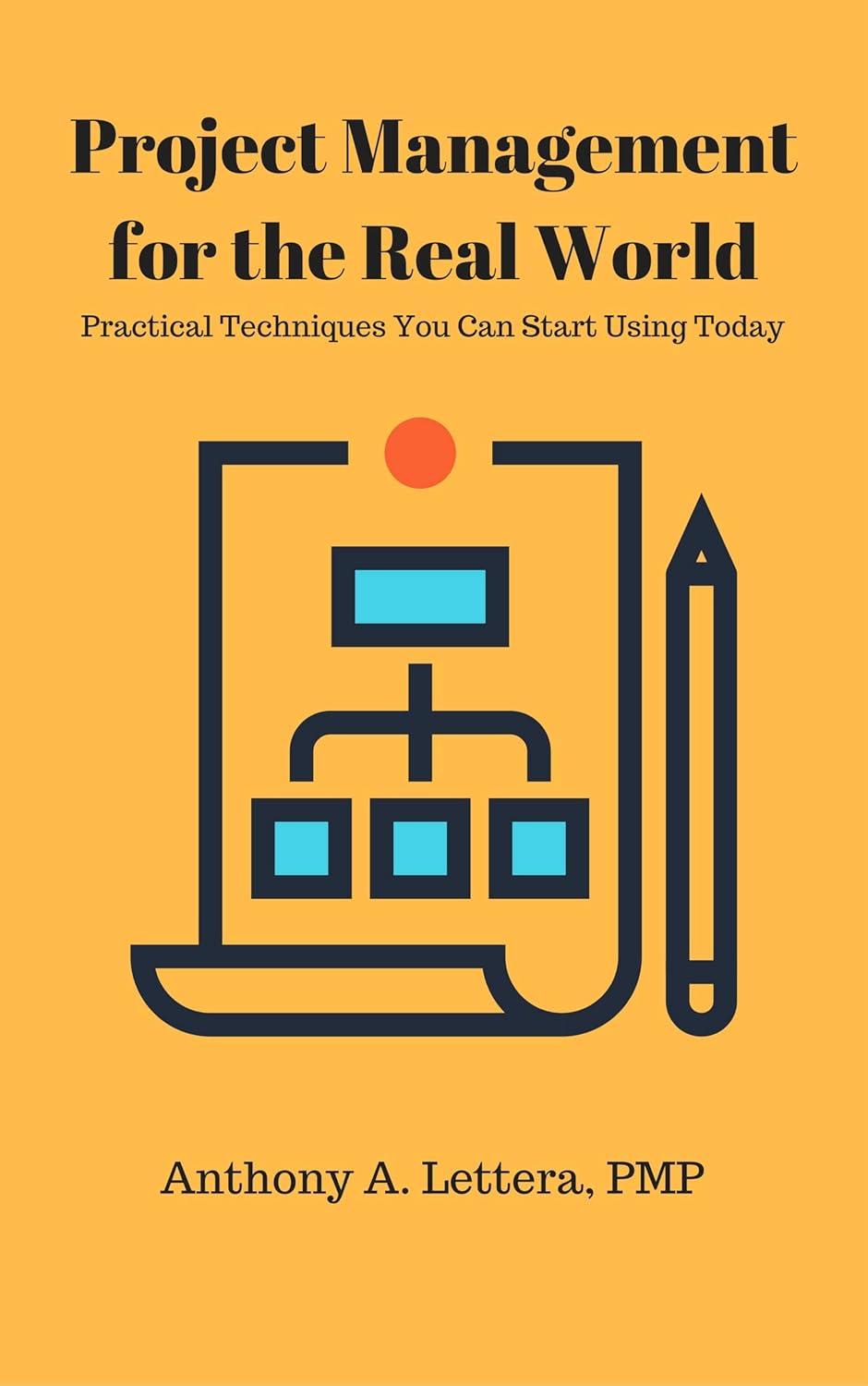 Amazon.com: Project Management For The Real World: Practical Techniques ...