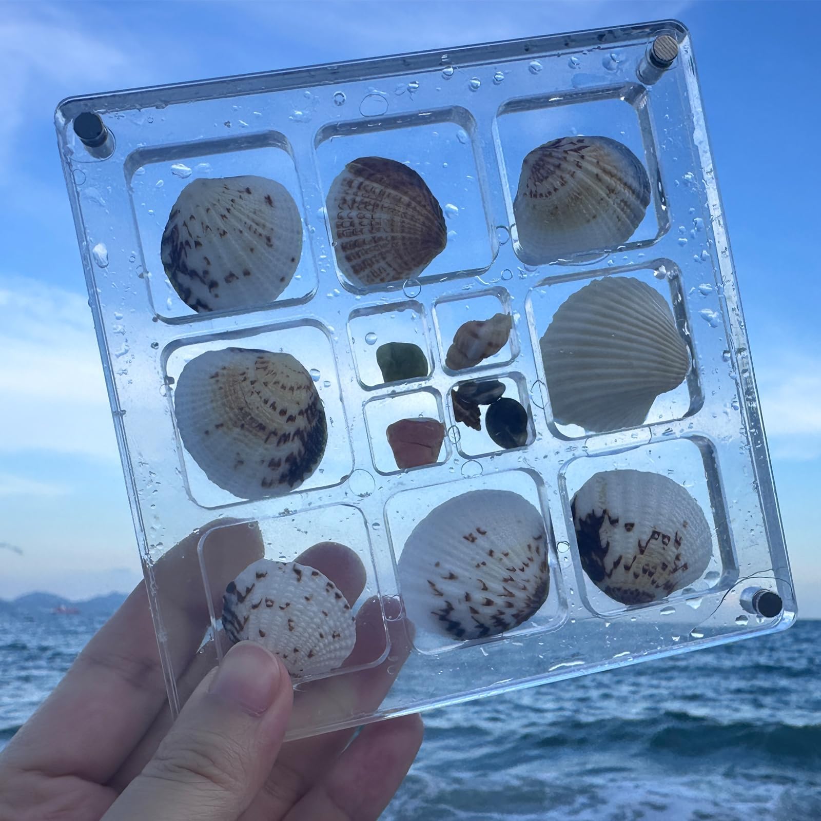 Amazon.com: Acrylic Seashell Display Box, 25 Grids Clear Acrylic Mini ...