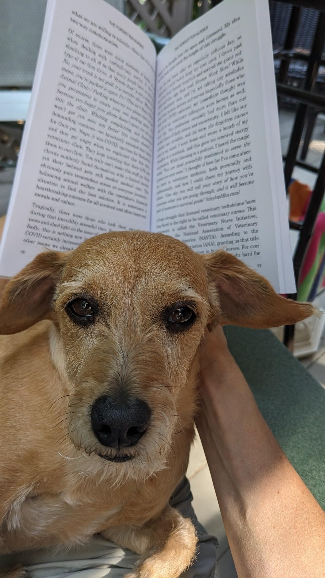 $3/mo - Finance The Forgotten Nurses: Finding Peace and Purpose in the ...