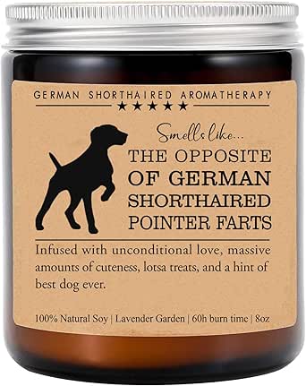 Amazon.com: AcevedoDesign German Shorthaired Pointer Scented Soy Wax ...