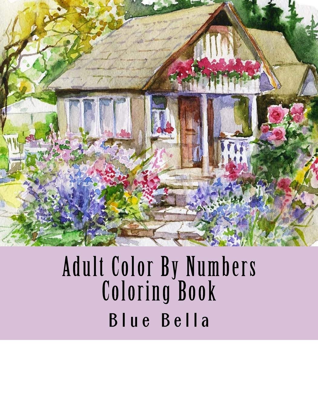 Amazon.com: Adult Color By Numbers Coloring Book: Easy Large Print Mega ...