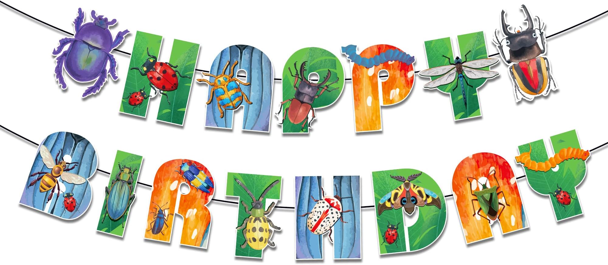 Amazon.com: Spring Bugs Party Supplies - Happy Birthday Banner for ...