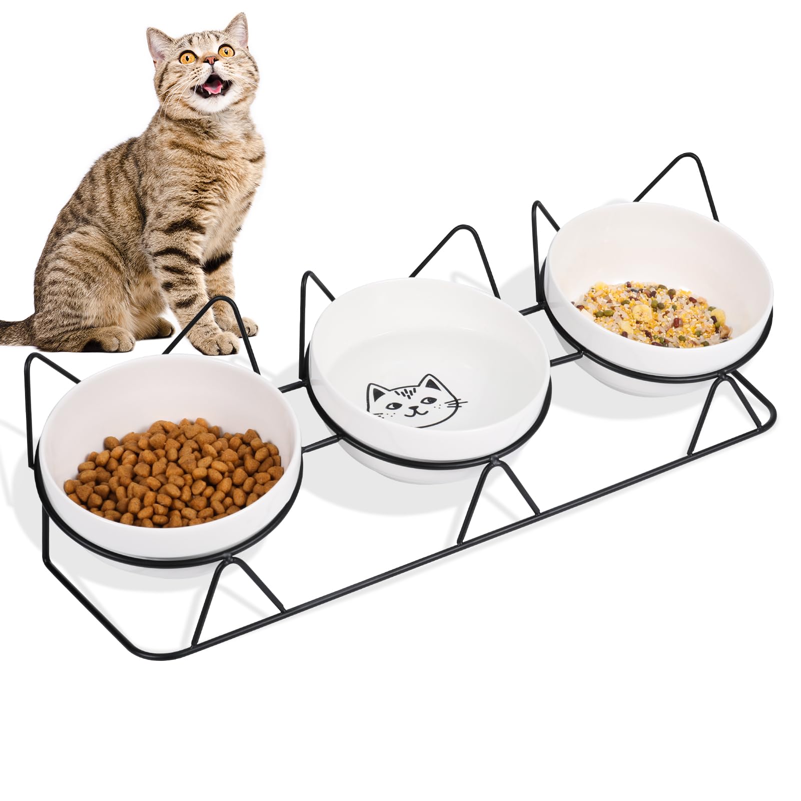 Amazon.com: Wedding Pails Elevated Cat Bowls with 3 Ceramic Bowls,5 ...