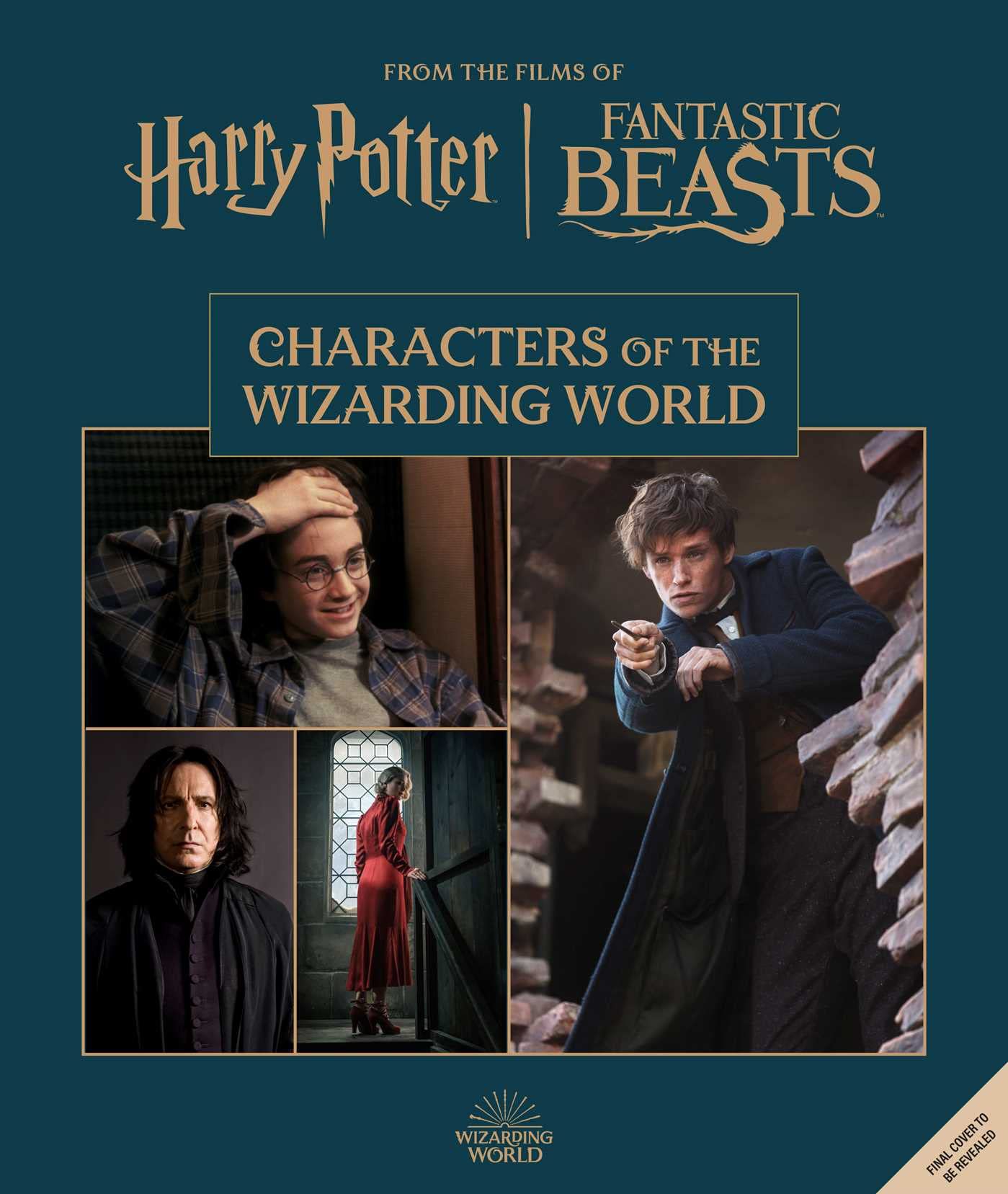 Buy Harry Potter: Characters of the Wizarding World Online at ...