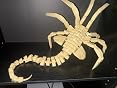 Amazon.com: Xenomorph Facehugger Action Figure Building Kit Compatible ...