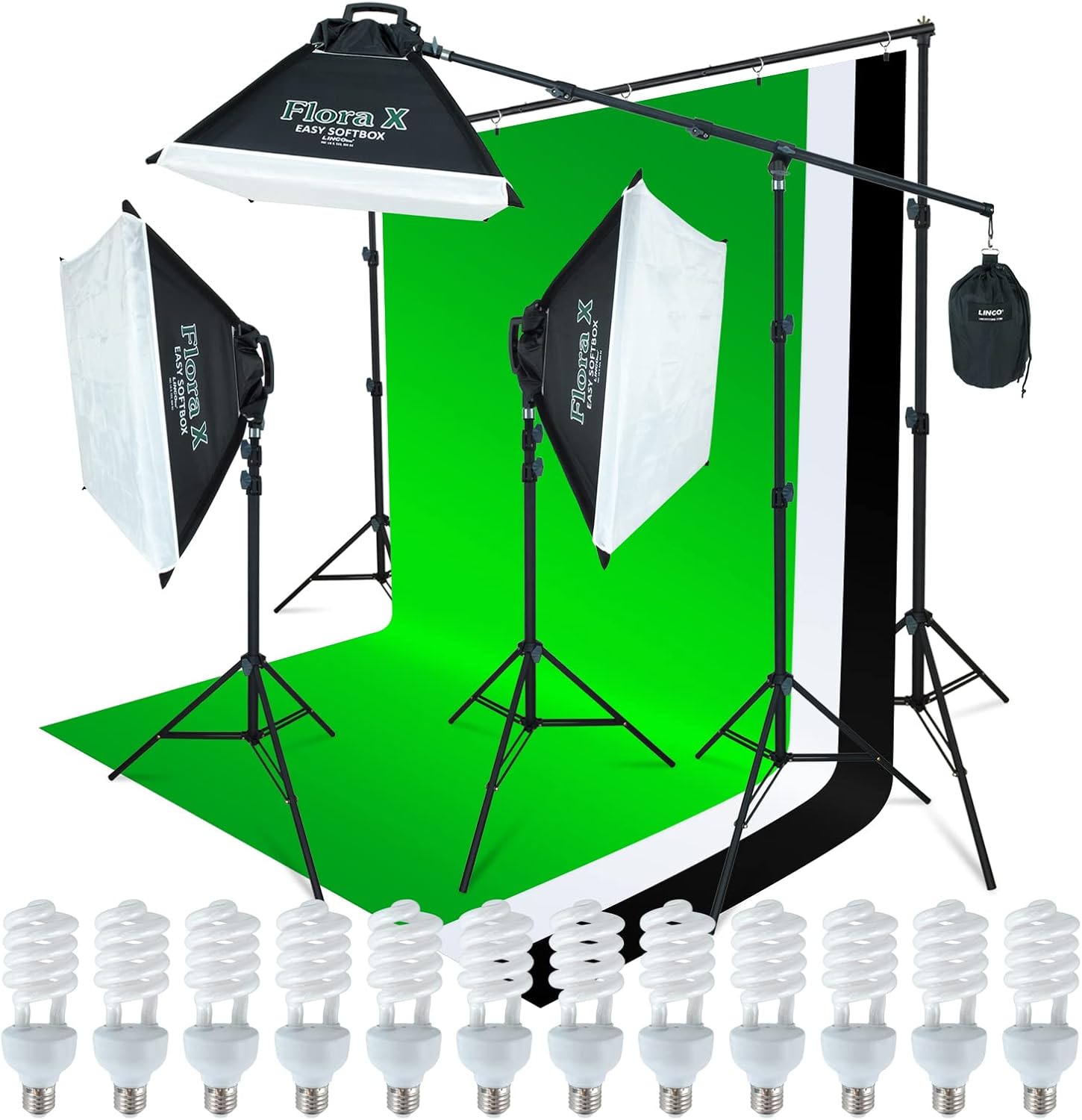 Amazon.com : LINCO Lincostore 2000 Watt Photo Studio Lighting Kit with ...