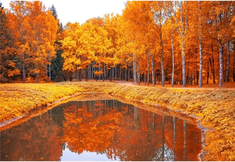 Amazon.com : Laeacco Fall Forest Backdrop Polyester 7x5FT Autumn ...