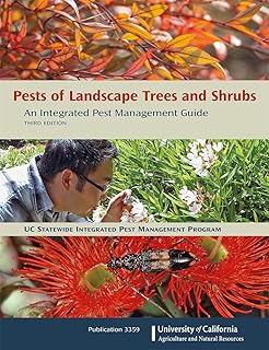Protecting Your Redbud Tree From Pests And Diseases | ShunCy