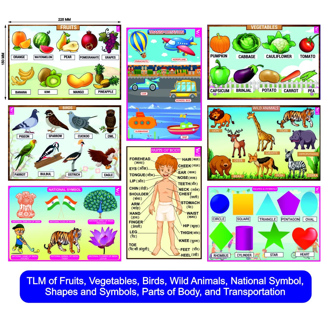 Buy WISSEN TLM Combo- Fruits, Vegetables, Animals, Birds, National ...