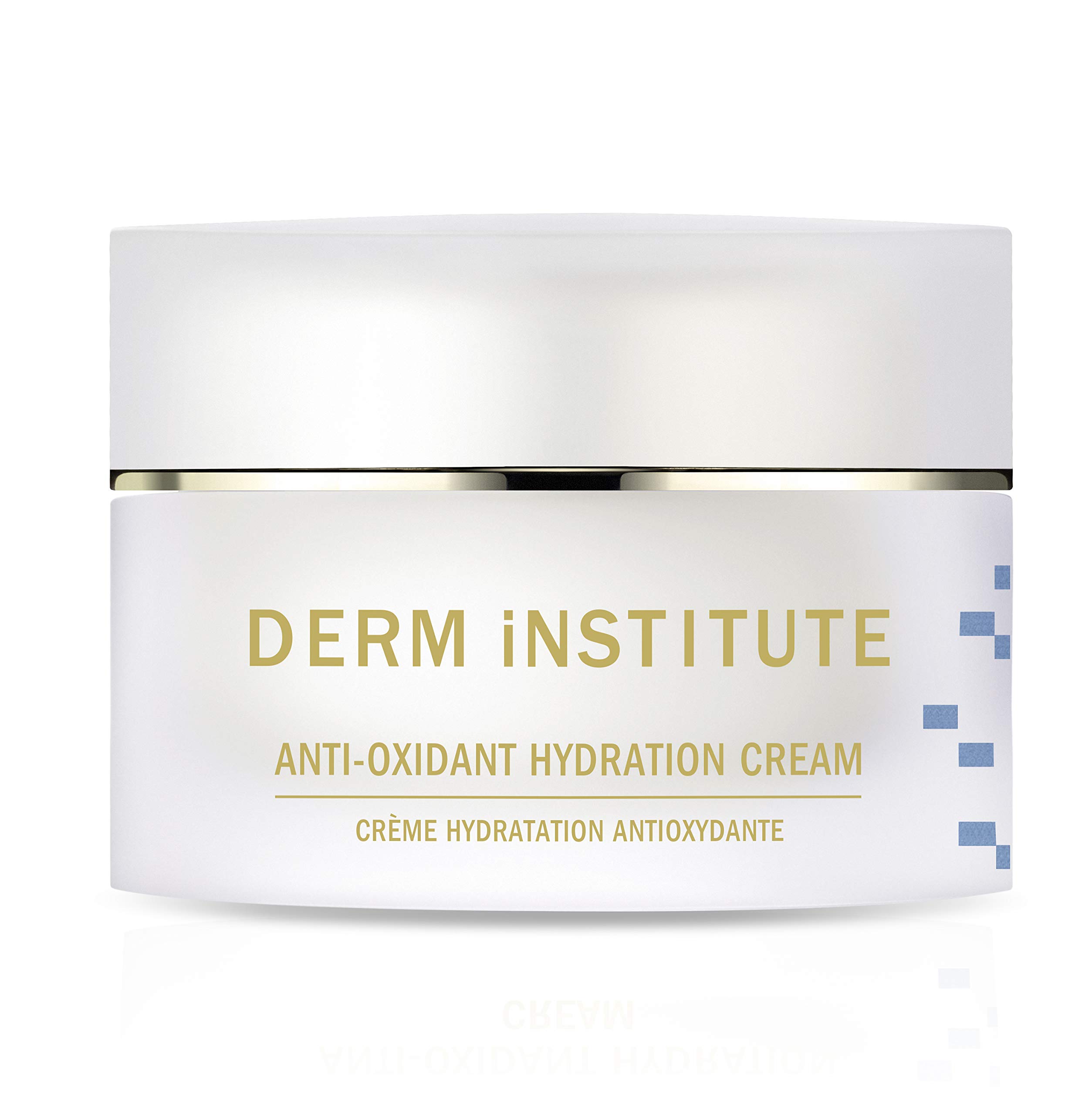 Derm Institute Anti Oxidant Hydration Cream 1 Oz | Desertcart Sri Lanka