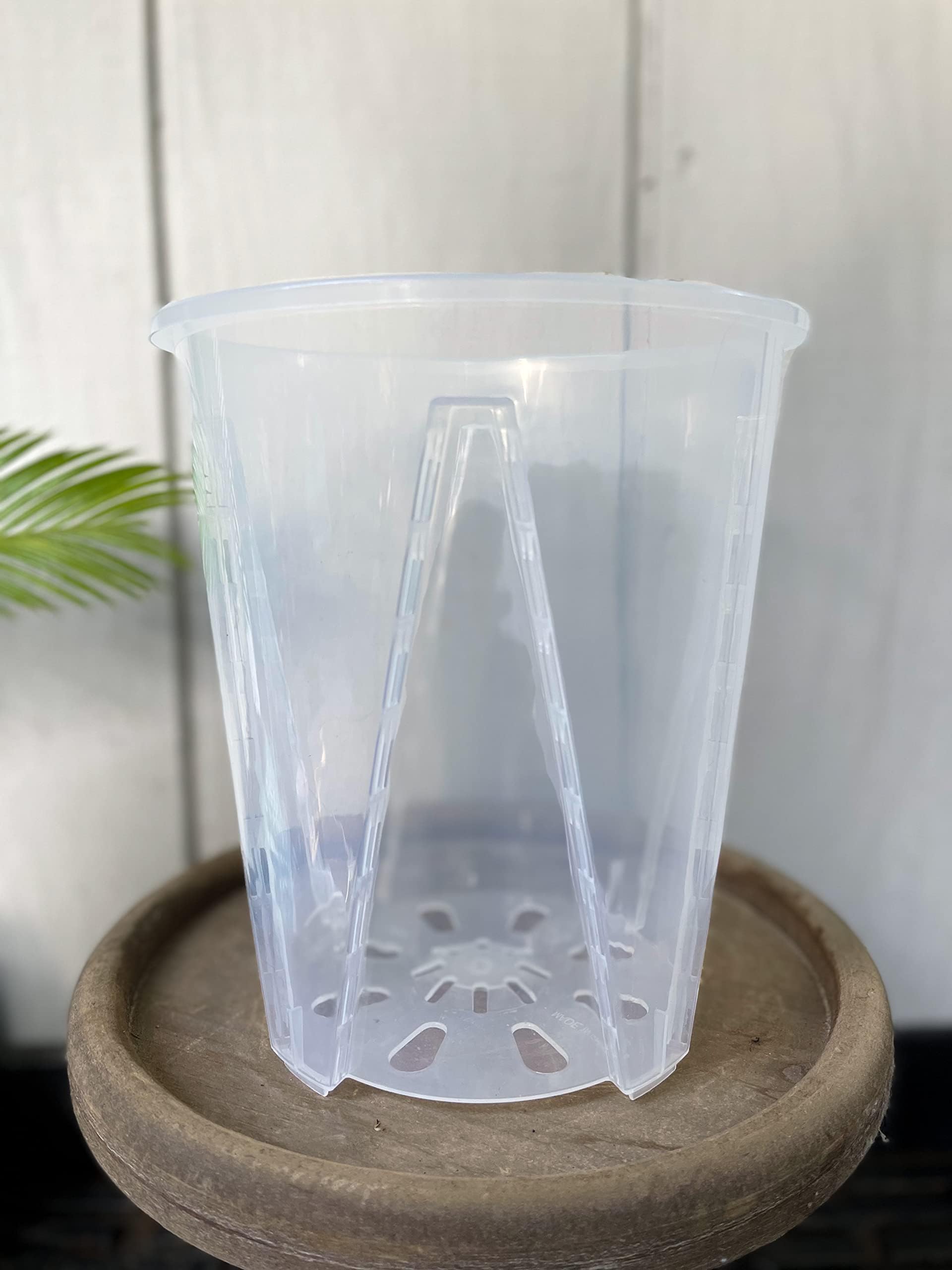 Amazon.com: karenplantsplants™ 9.5" Clear Plastic Nursery Tall Pot with ...