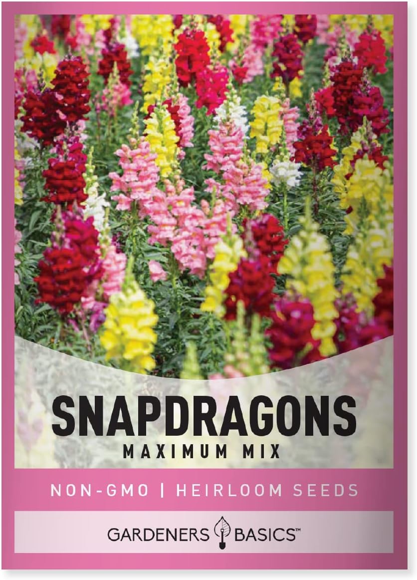 Amazon.com : Gardeners Basics, Snapdragon Seeds for Planting (Maximum ...