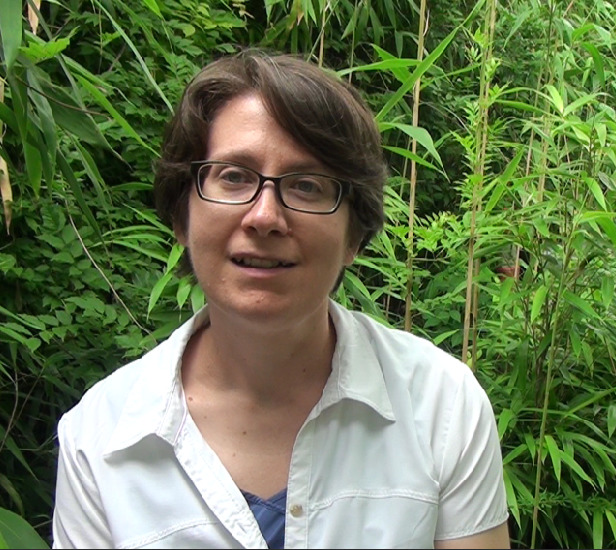 Amazon.com: Bethany Harvey: books, biography, latest update