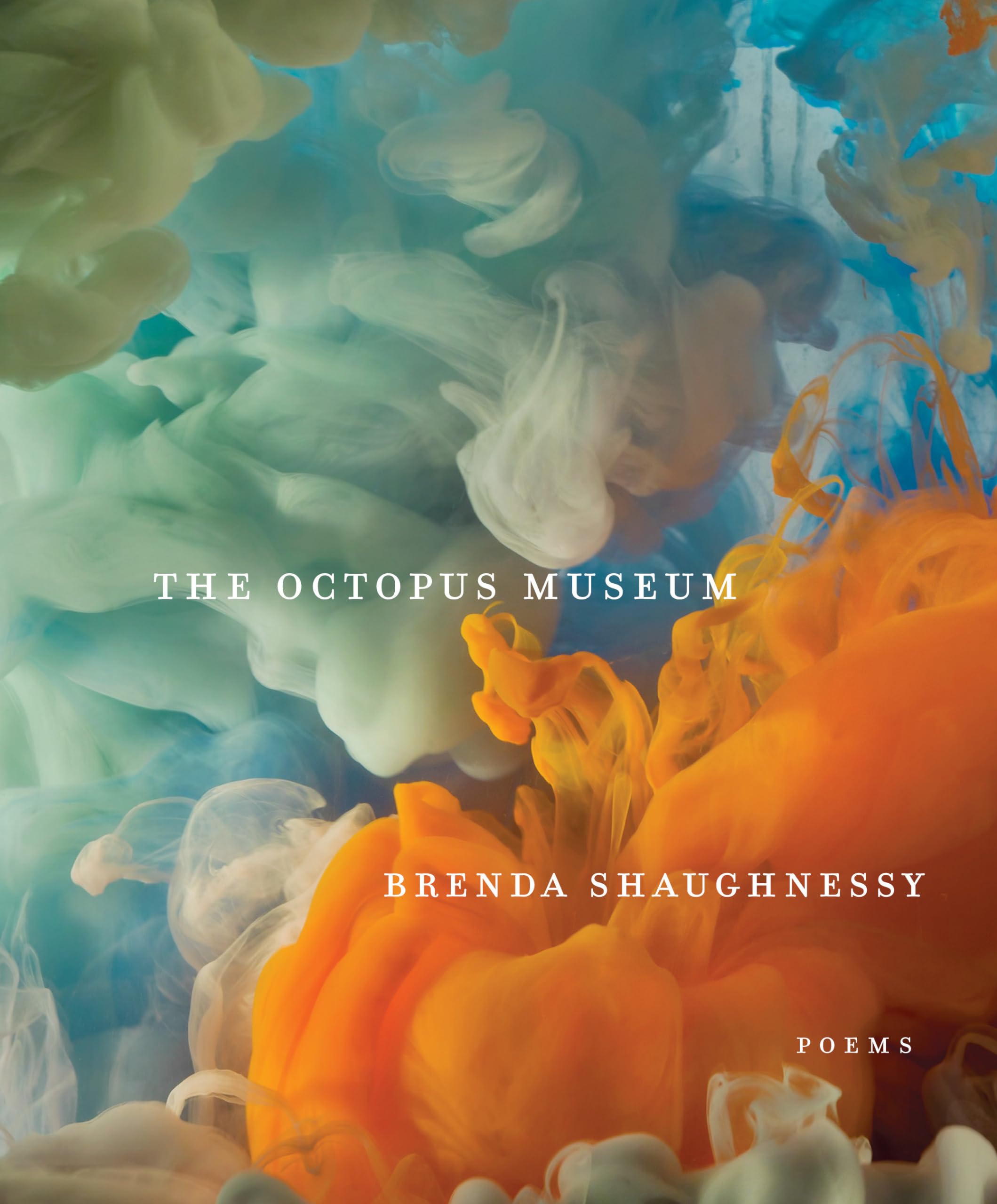 The Octopus Museum: Poems: Shaughnessy, Brenda: 9781524711498: Amazon ...