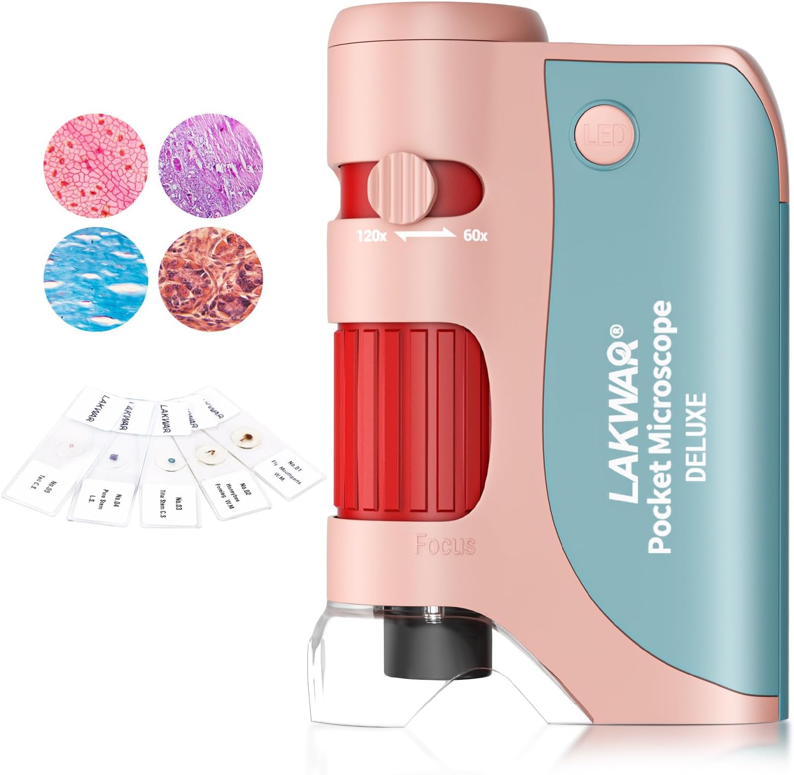 Amazon.com: Foldscope Assembled Classroom Kit (Contains 10 Fully ...