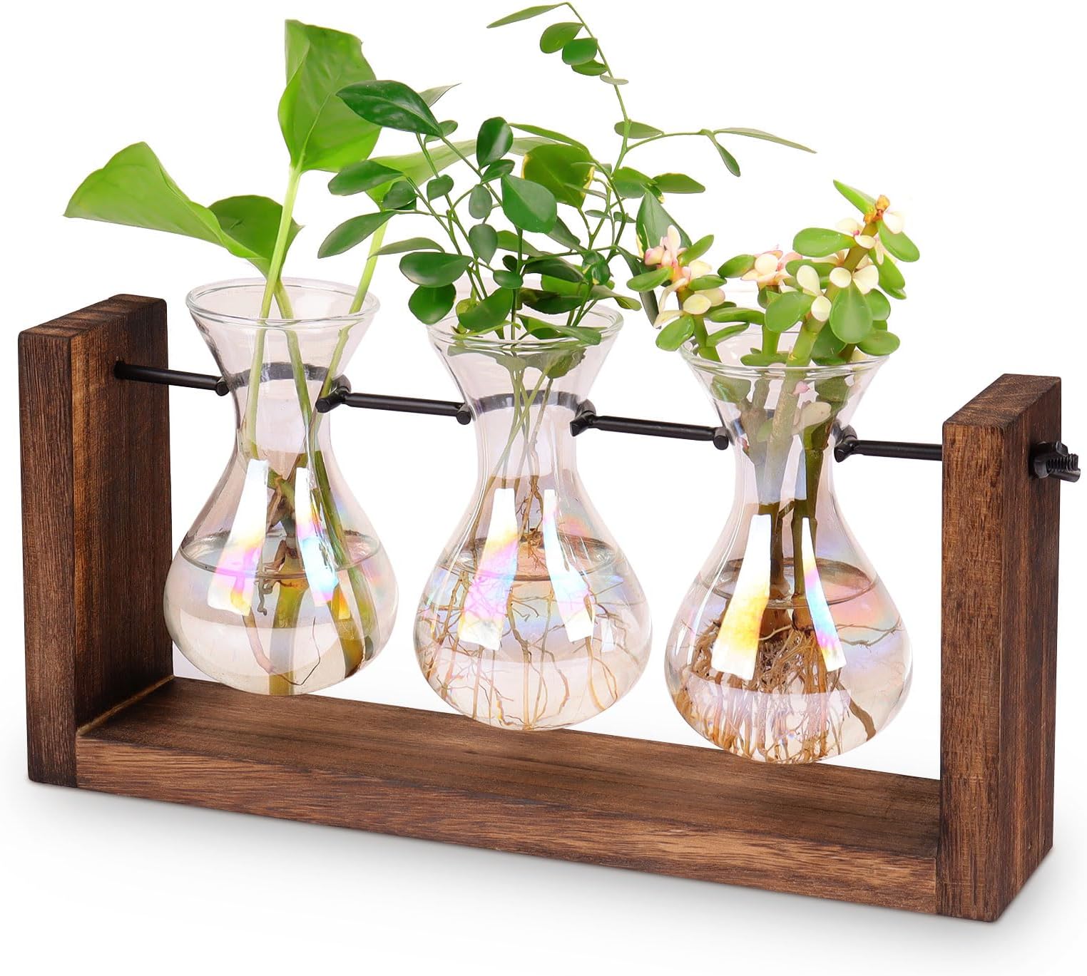 Amazon.com: Plant Propagation Station Plastic Propagation Station for ...