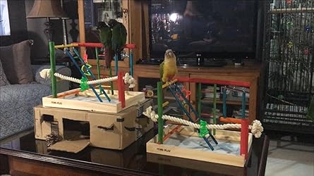 Penn Plax Wood Bird Playpen, Parrot Playstand Bird Playground Perch Gym ...