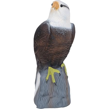 Amazon.com : GiftExpress 16.5" Scarecrow Eagle Fake Hawk Decoy Statue ...