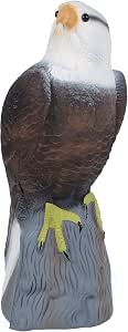 Amazon.com : Hausse Bird Scarecrow Fake Horned Hawk Decoy, Bald Eagle ...