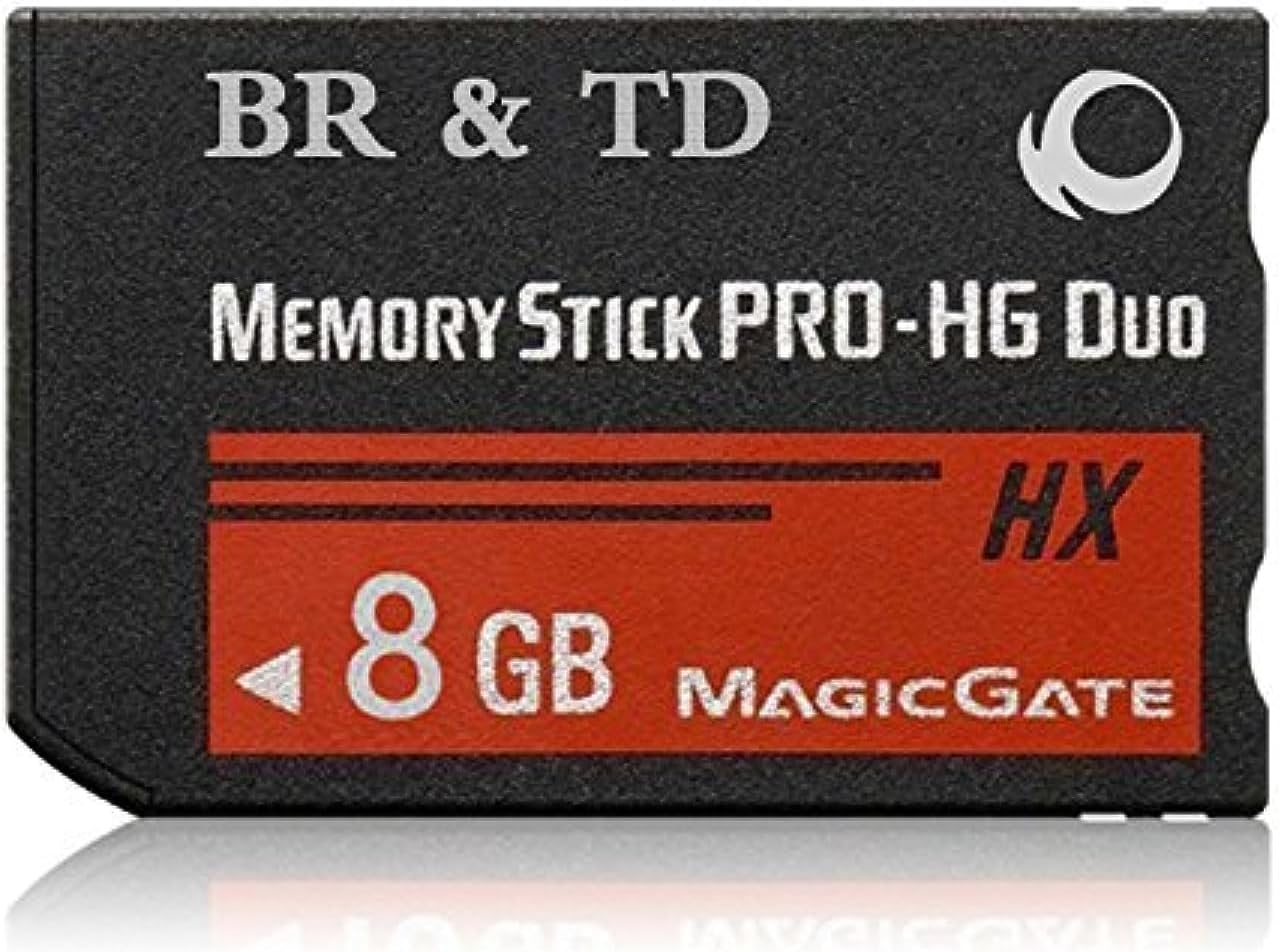 Amazon.com: BR & TD 8GB PRO-HG Duo HX Memory Stick MSHX8A : Electronics