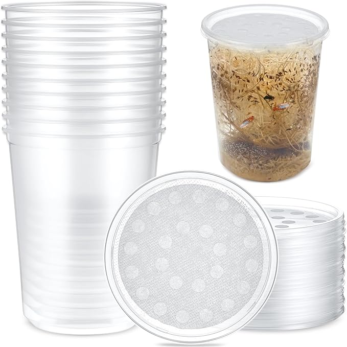 Amazon.com : FillTouch 20 Pcs 32 oz Fruit Fly Culture Deli Cup and ...