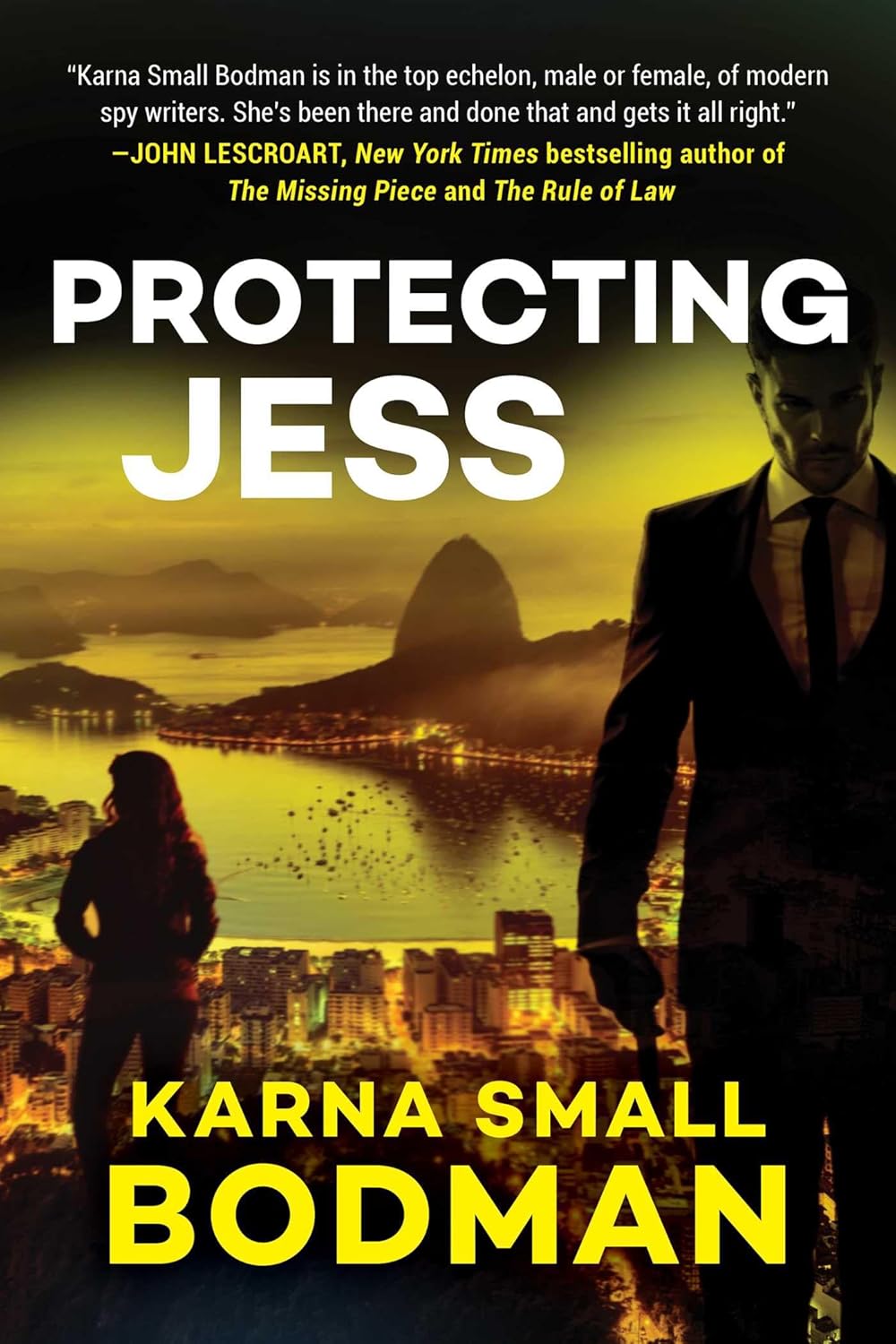 Protecting Jess: Bodman, Karna Small: 9781648211072: Amazon.com: Books