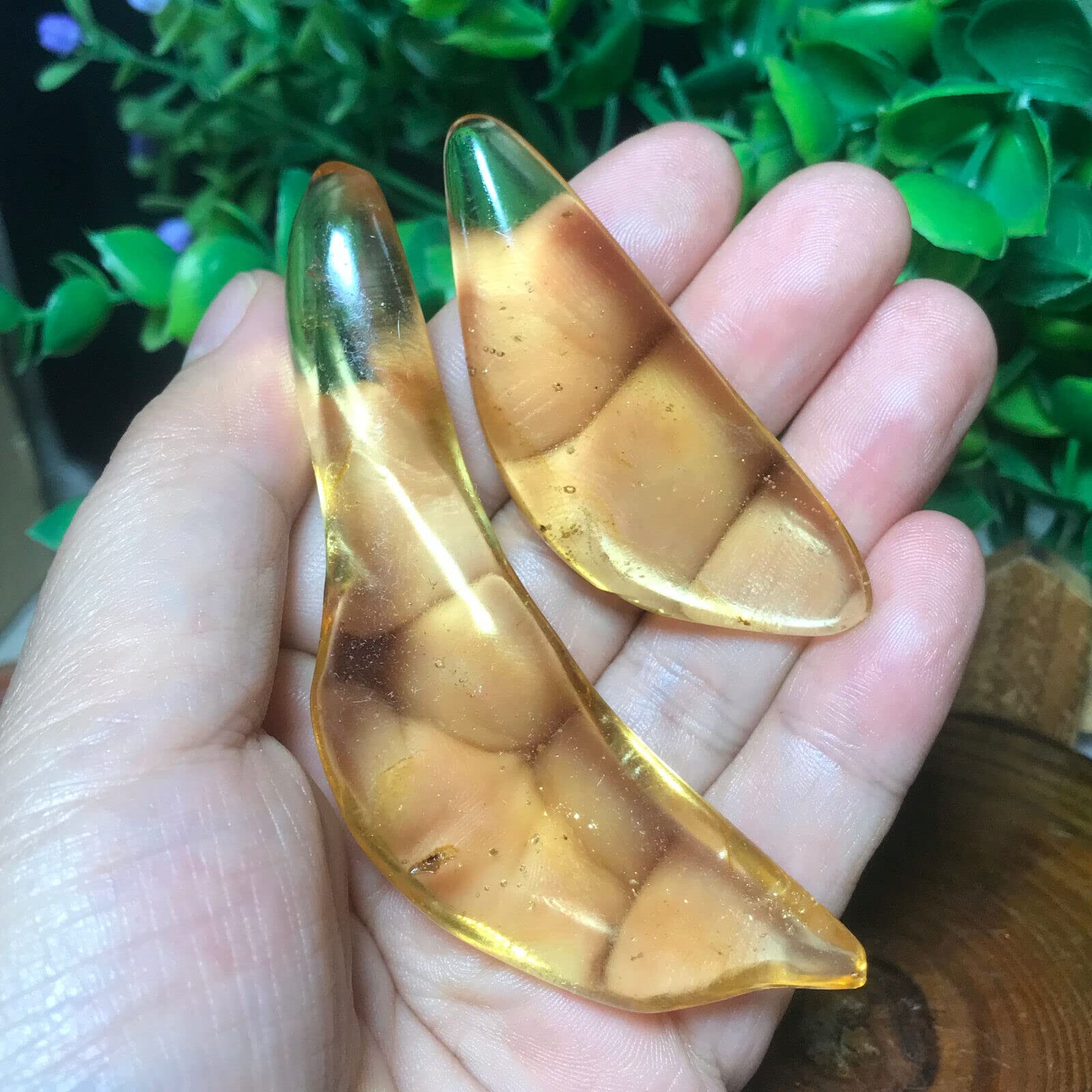 Amazon.com: 16g Genuine Baltic Amber Polished Nugget Insect Inclusion ...