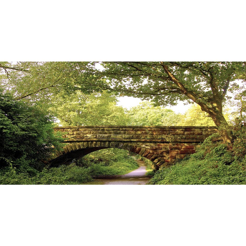 Amazon.com : YongFoto 8x4ft Spring Stone Bridge Backdrop Forest Tree ...