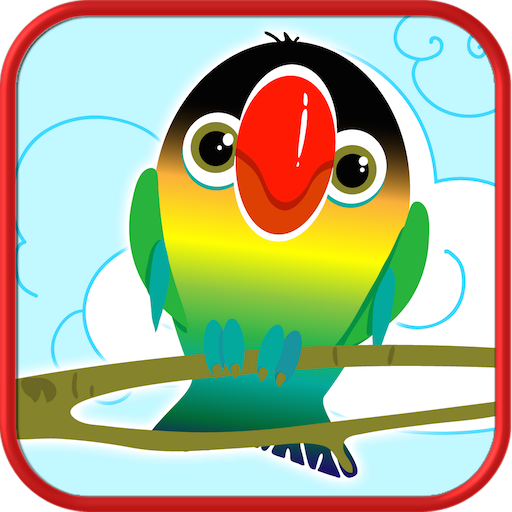 Perry Parakeet - App on Amazon Appstore