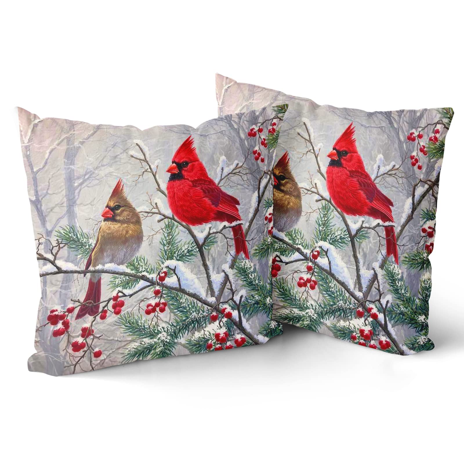 Amazon.com: Giwawa Red Bird Throw Pillow Covers Set of 2 Sparrow Couch ...