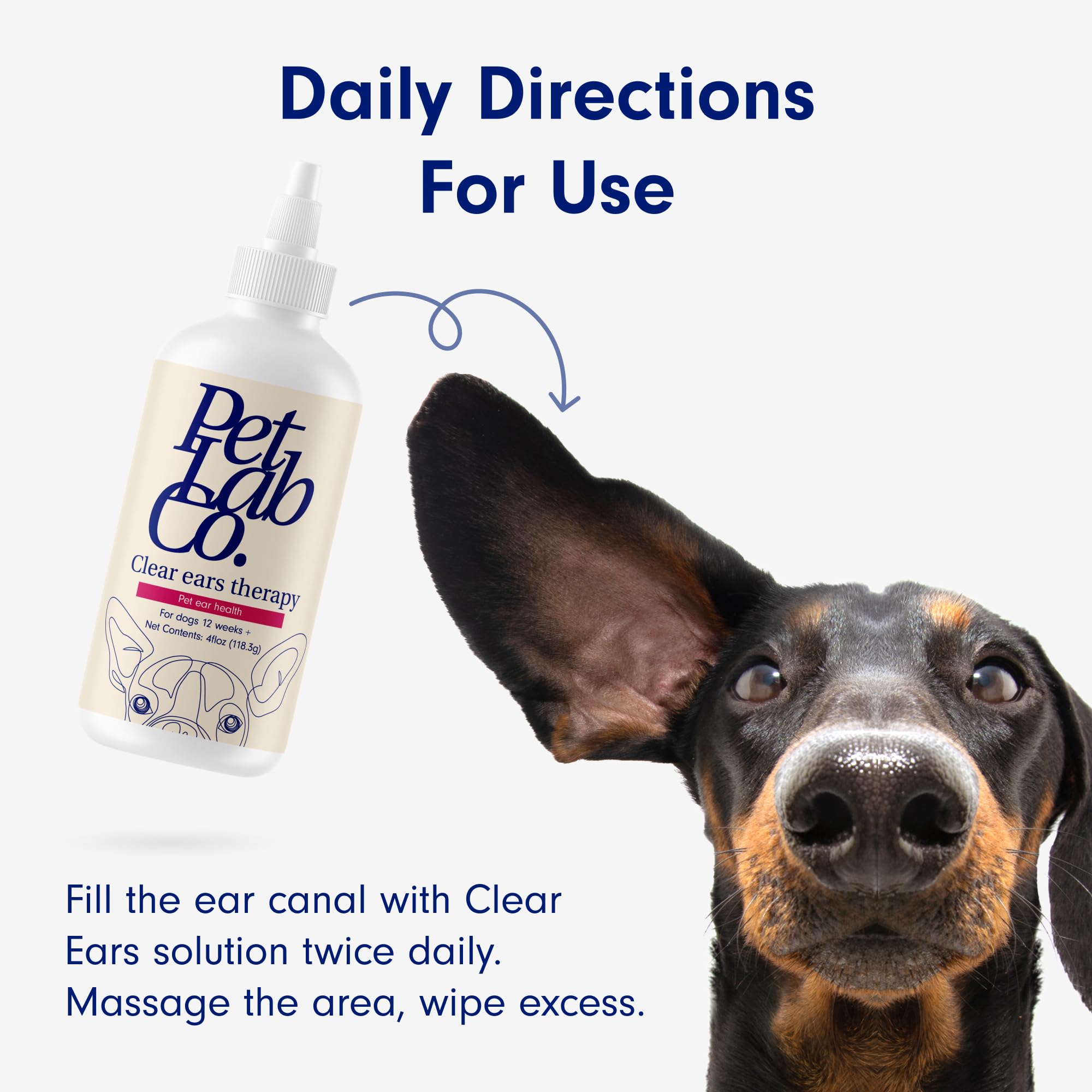 What Is Best Store Ear Cleaning Solution For Labradors Ears