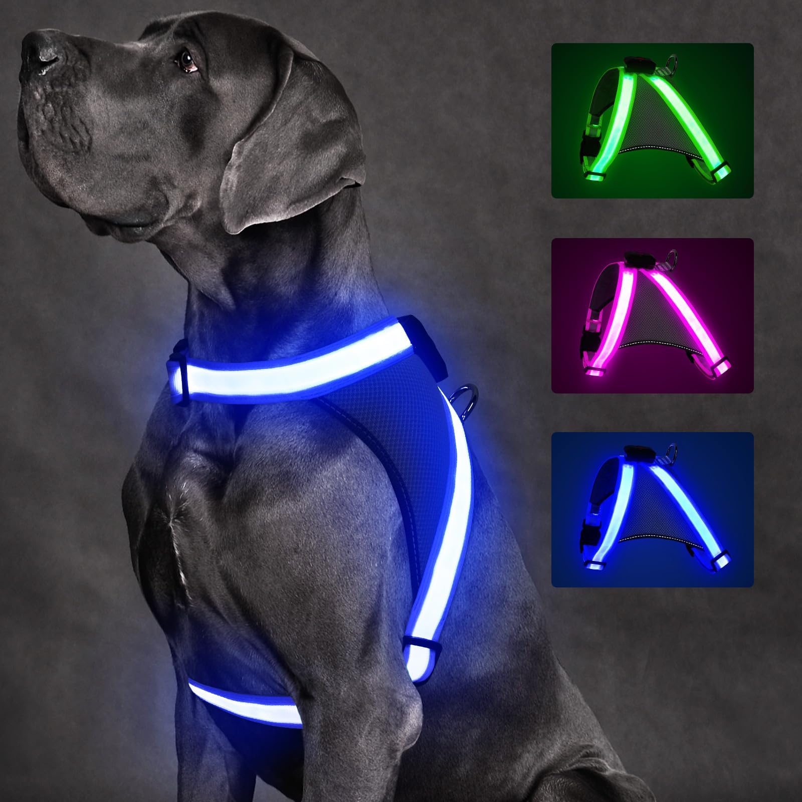 ChalkLit Light Up Dog Harness, No Pull Led Dog Harness Glow-in-The-Dark ...