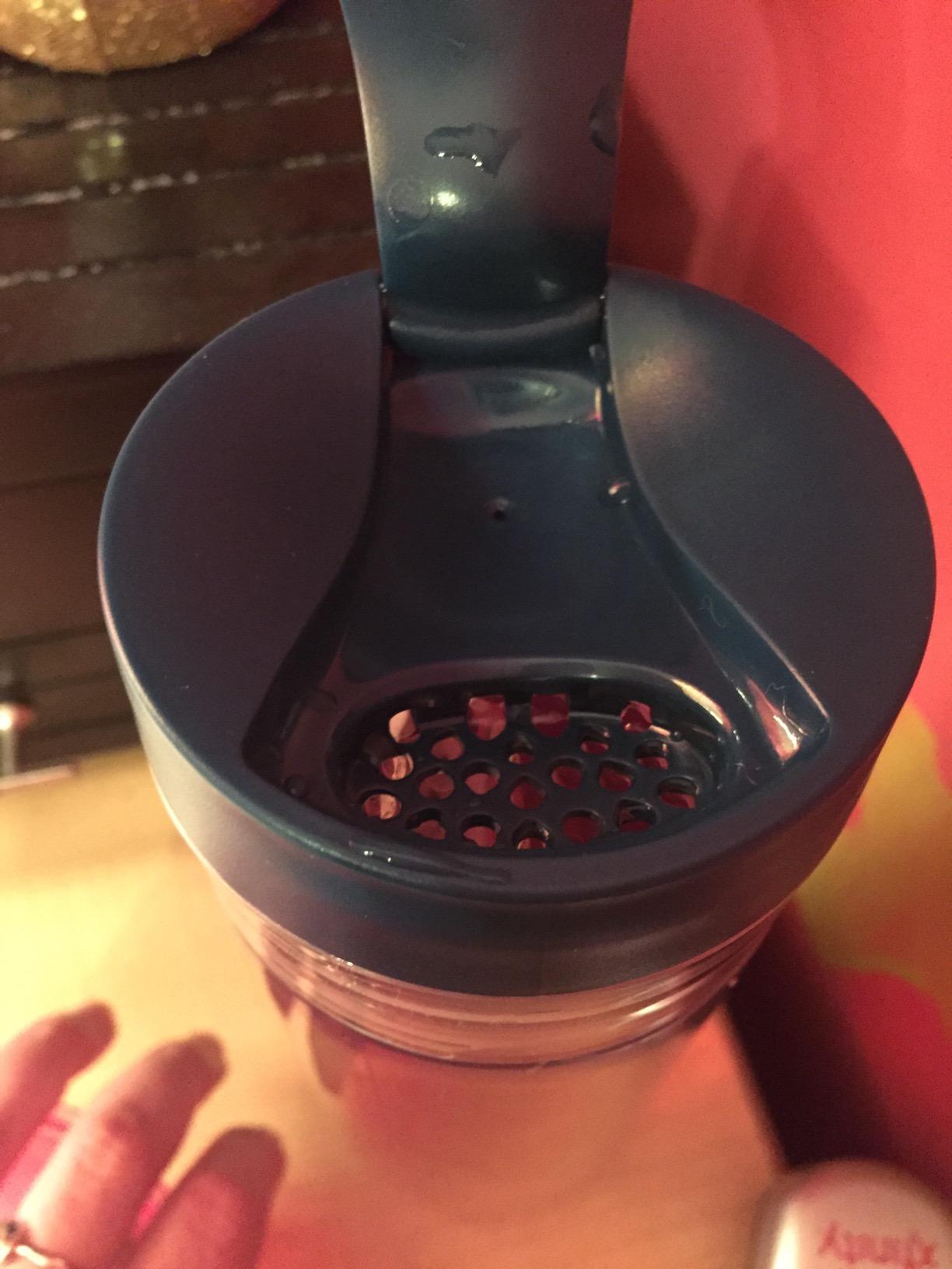 Amazon.com | Aladdin Insulated On-the-Go Tea Infuser 12oz, Berry: Teapots