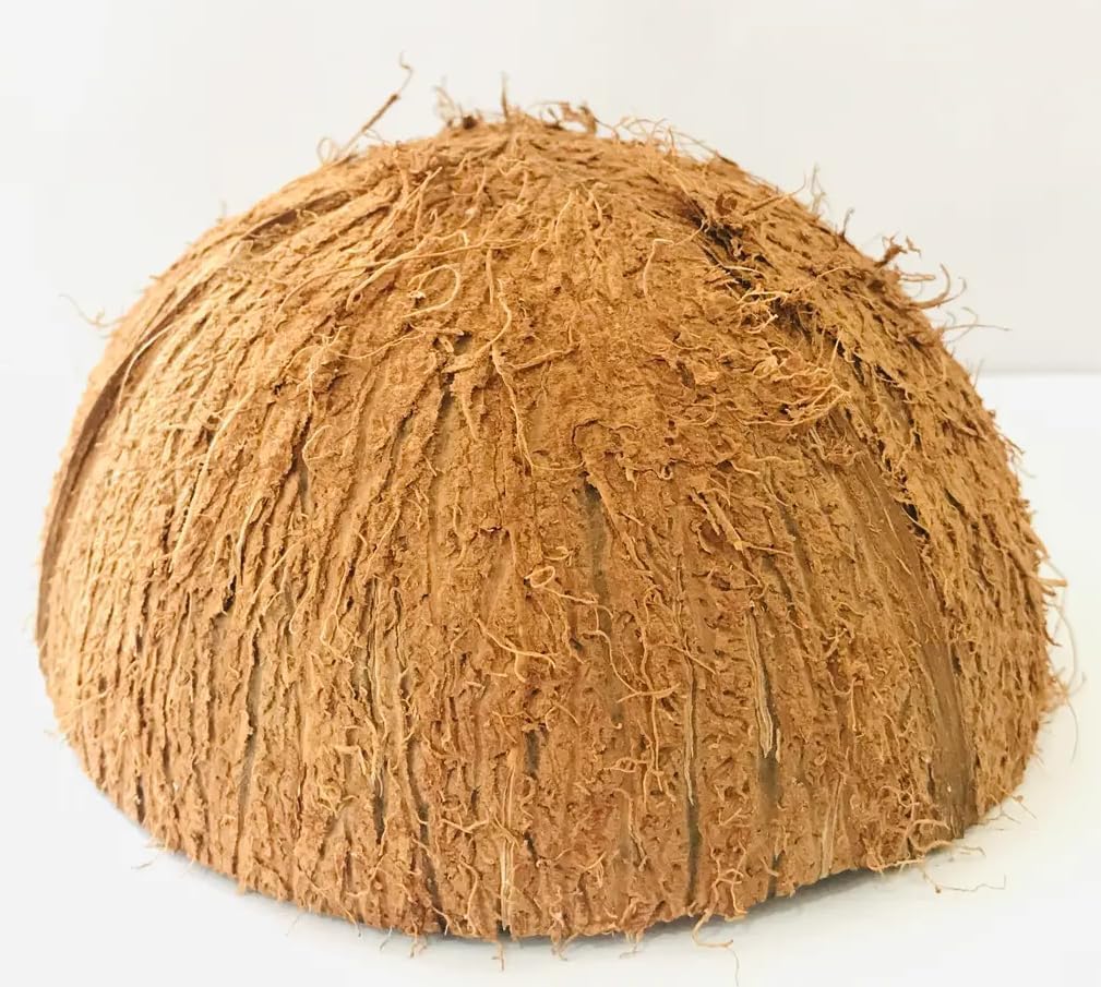Amazon.com: 2pcs Coconut Shell Halves - (No perforated shell) - Eco ...