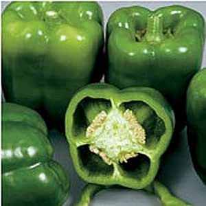 Amazon.com : Colossal Sweet Peppers Seeds (20+ Seeds) | Non GMO ...
