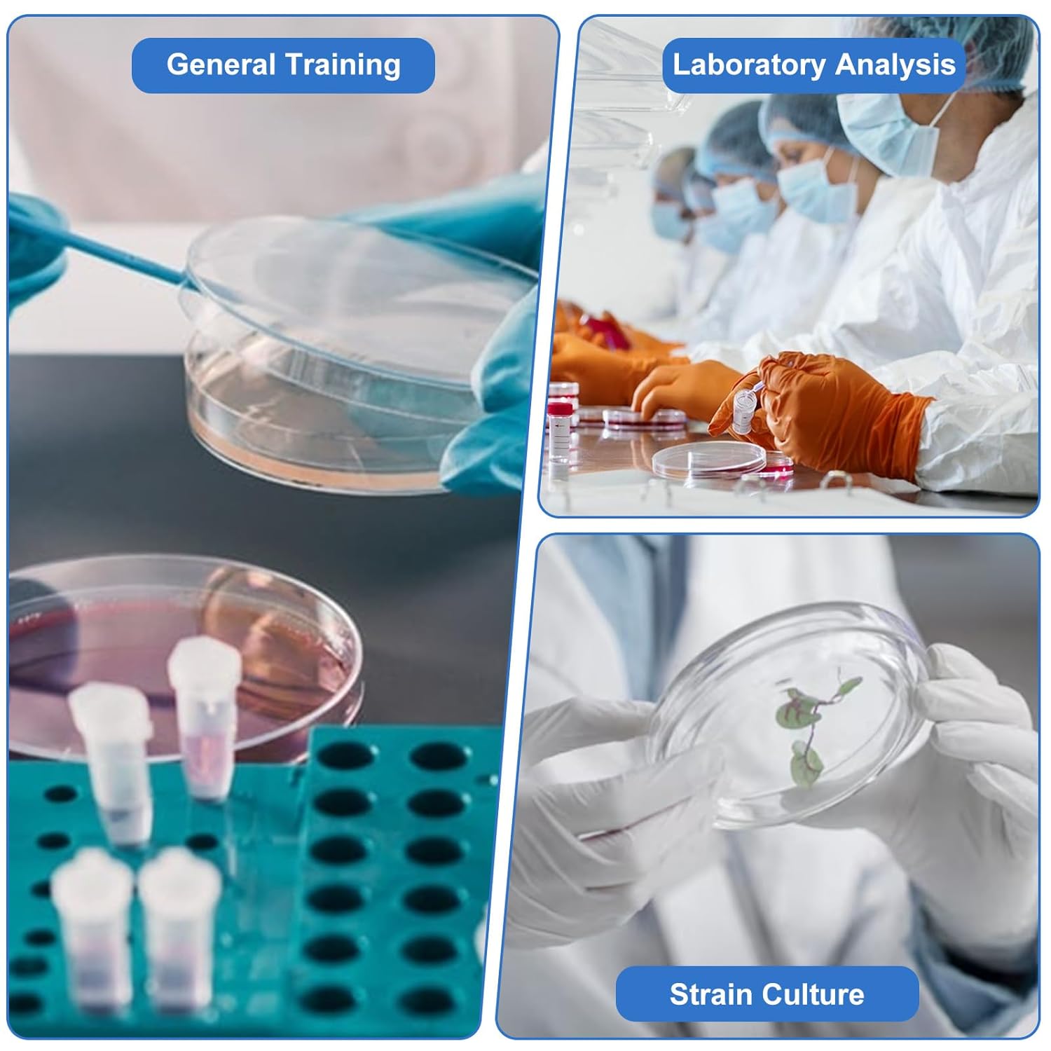 Petri Dish 50 Pack es With 100 Pcs Lids, 90 X 15 Mm Disposable Sterile ...