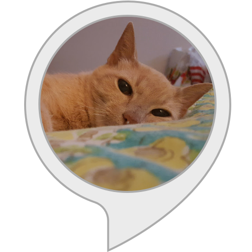Amazon.com: Cat Geek : Alexa Skills