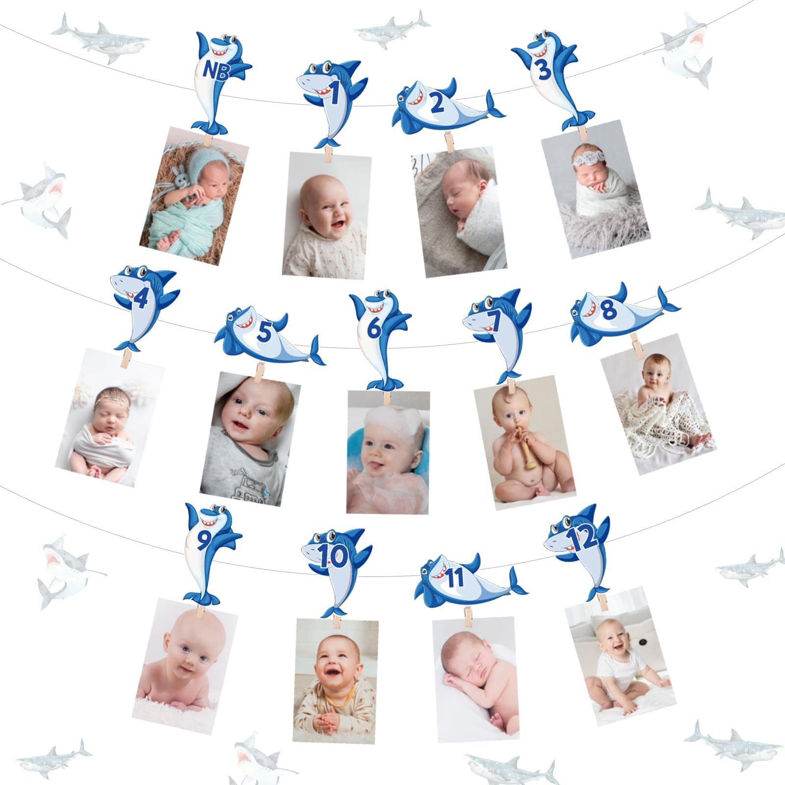 Amazon.com: Shark 1st Birthday Party Decoration Shark First Photo ...