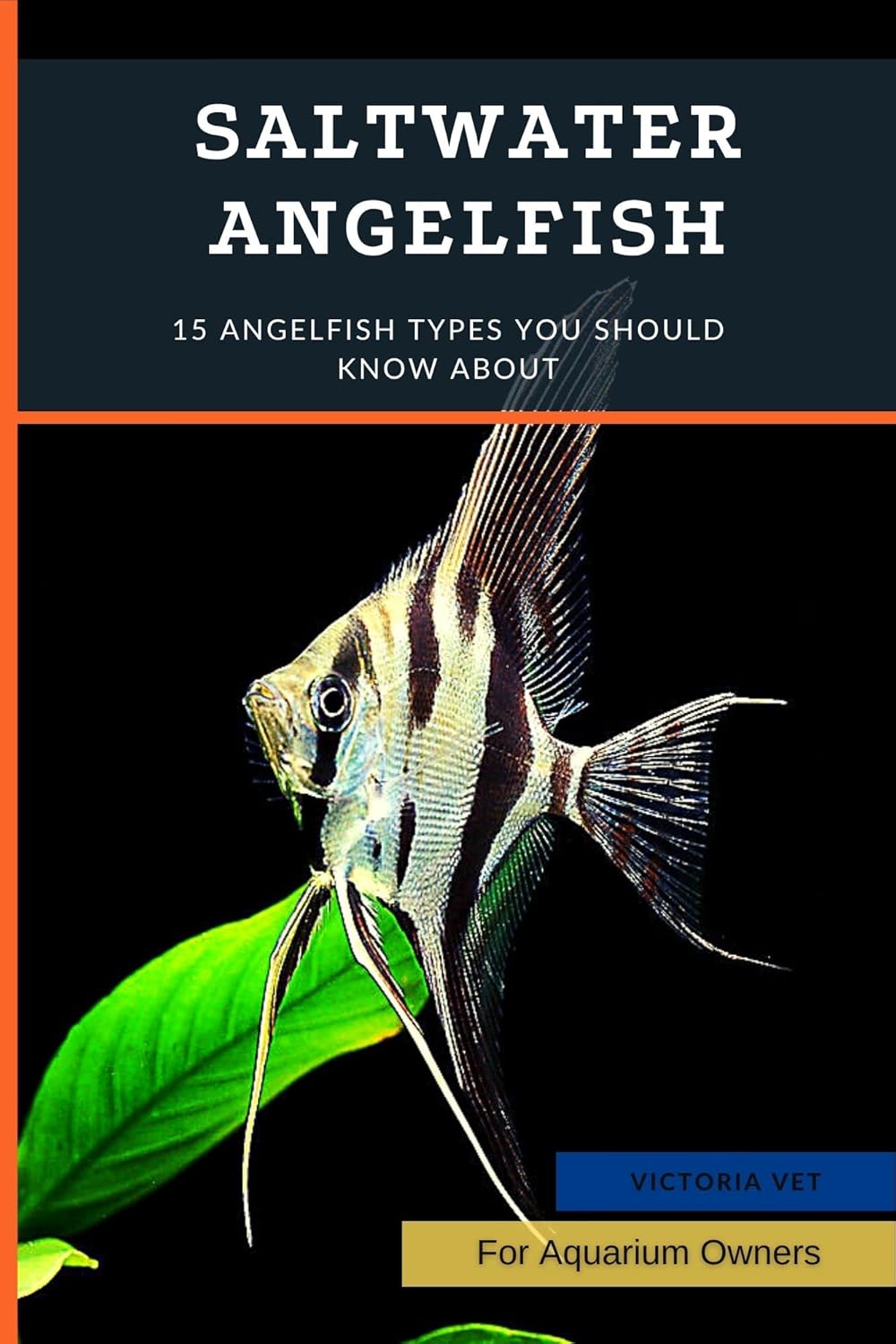 Saltwater Angelfish: 15 Angelfish Types You Should Know About eBook ...