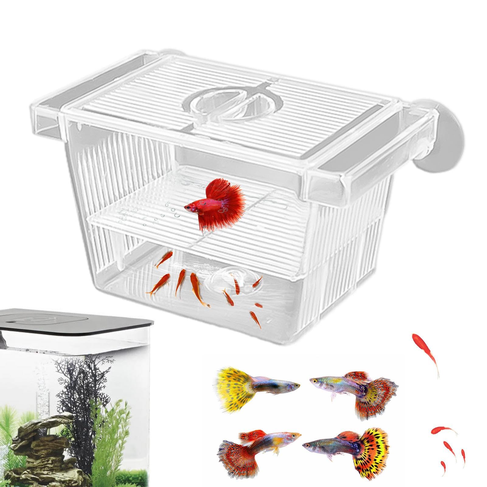 Fish Breeding Box - Crystal Acrylic Fish Breeder Box for Aquarium ...