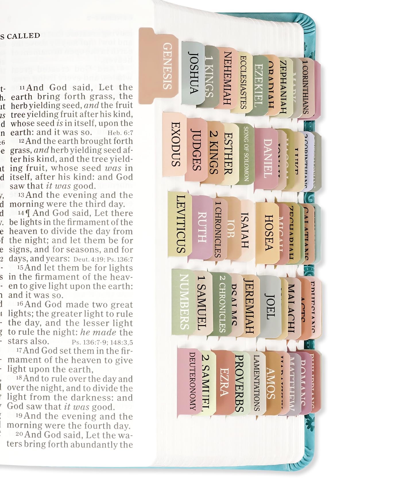Amazon.com : Bible Tabs for Women & Men, Laminated Bible Tabs for Study ...