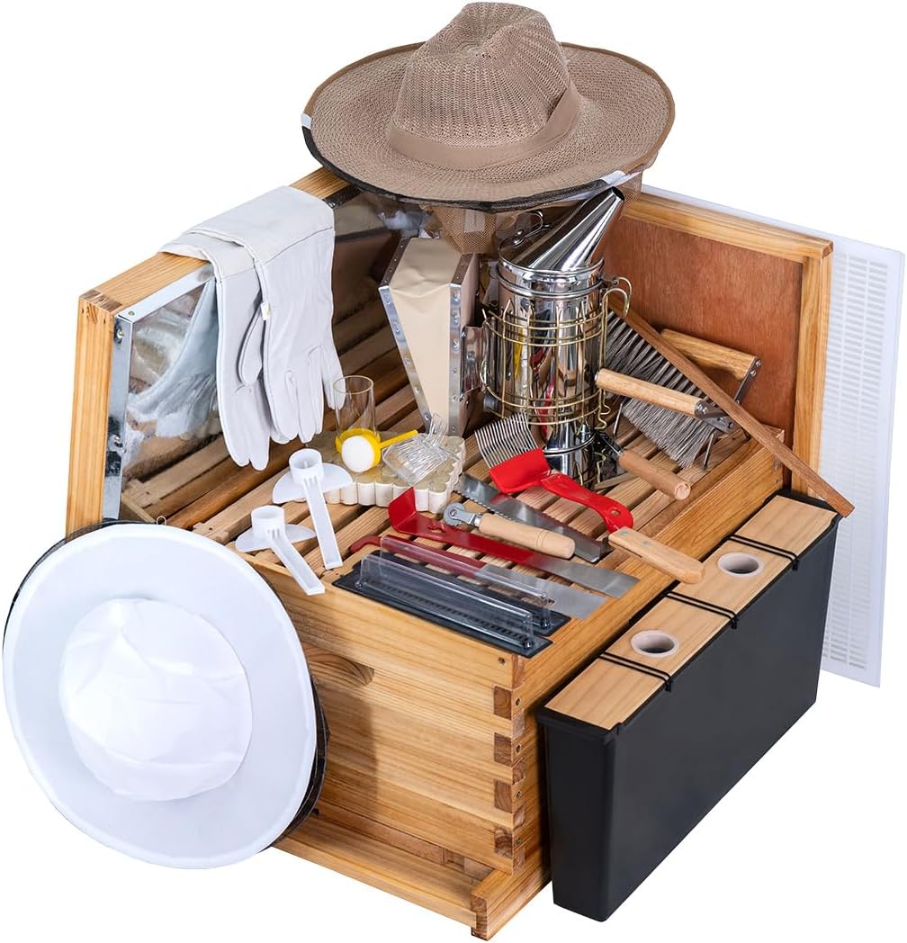 Amazon.com : ThxBees 8 Frame Bee Hive Starter Kit, Beehives and ...