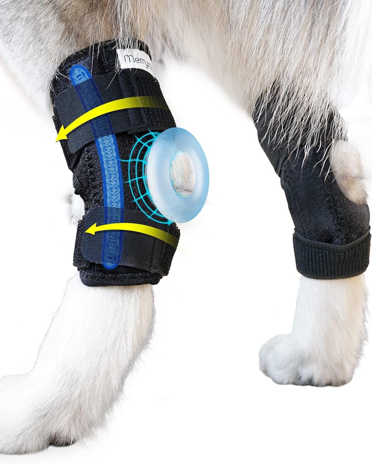 Amazon.com : Dog Back Leg Brace for Hock & Ankle, Dog Rear Leg ACL ...