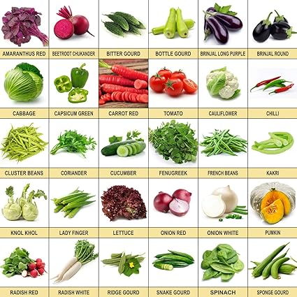 Kraft Seeds Fresh Vegetable Seeds for Home Gardening (30 Packets , 1gm ...