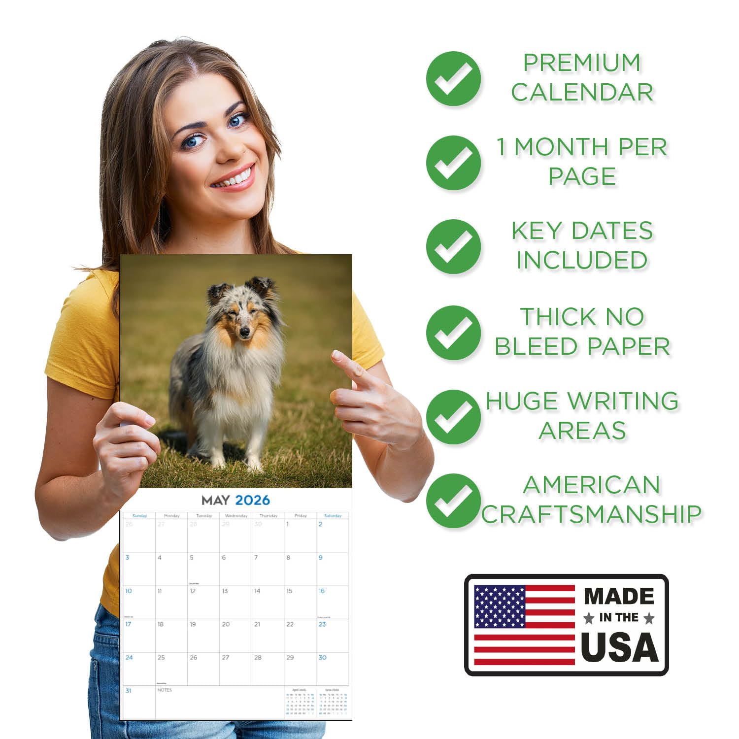 Snapklik.com : 2026 Shetland Sheepdog Calendar - Dog Breed Wall ...