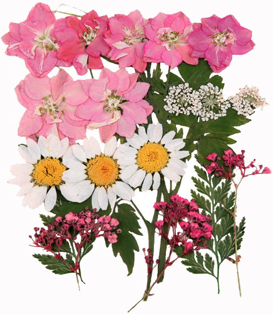 Amazon.com: Silver J Pressed Flower self Adhesive Stickers, Floral ...