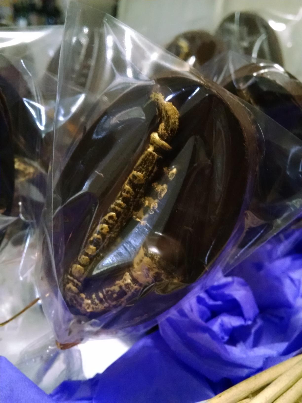 Amazon.com: Saxophone Lollipop Chocolate Candy Mold 3394 : Home & Kitchen