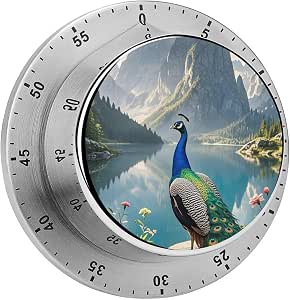Amazon.com: Peacock Egg Timers for Kitchen Mechanical Kitchen Timers ...